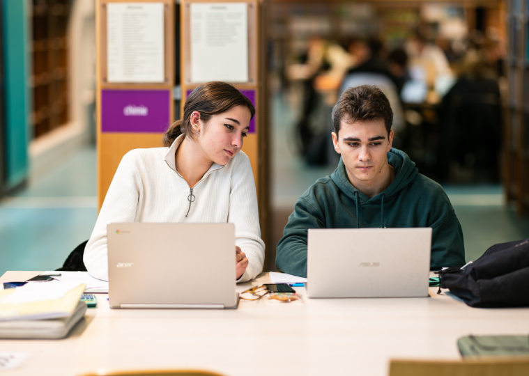 Faciliter la mise en œuvre de projets transverses :: Enseigner